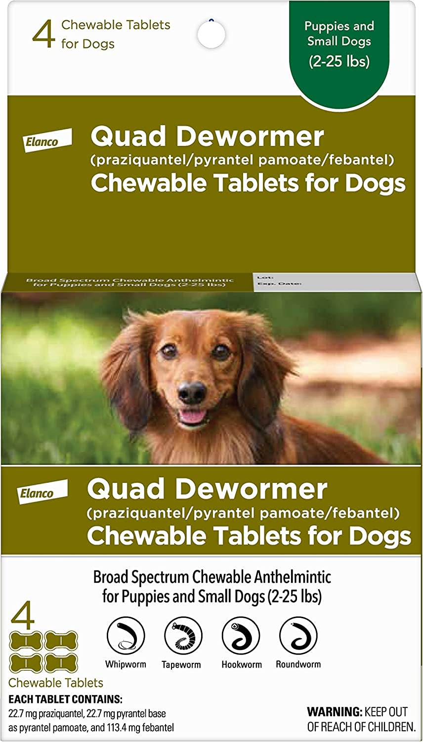 How to Safely and Effectively Deworm Your Dog — Horizon Animal Care